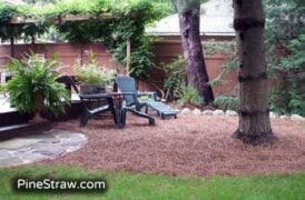 25 Pine Straw Landscape Ideas To Lush Your Garden