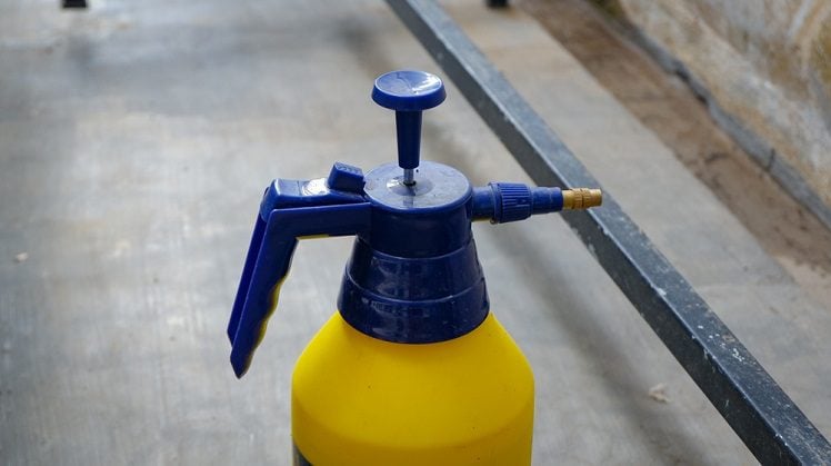 Monstera Root Rot Treatment: Strategies for Healthy Monstera